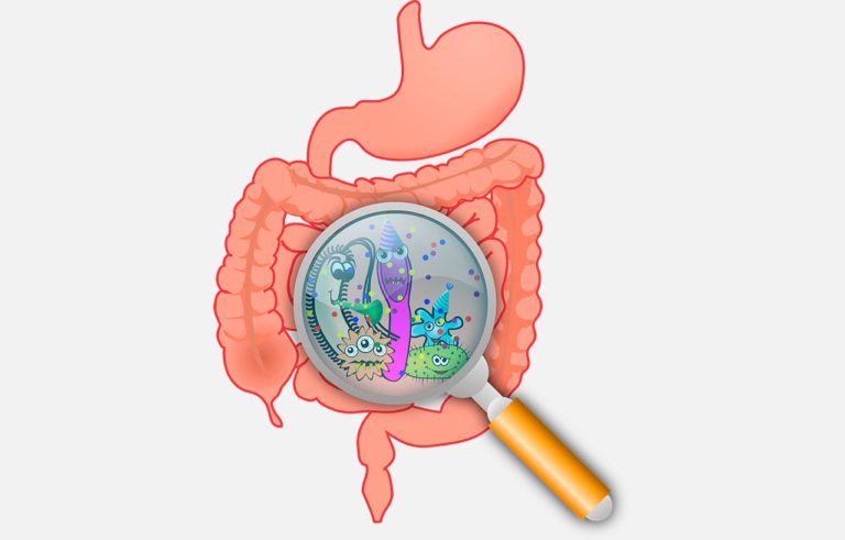 Remedio natural antiséptico para la disbiosis intestinal | IEN