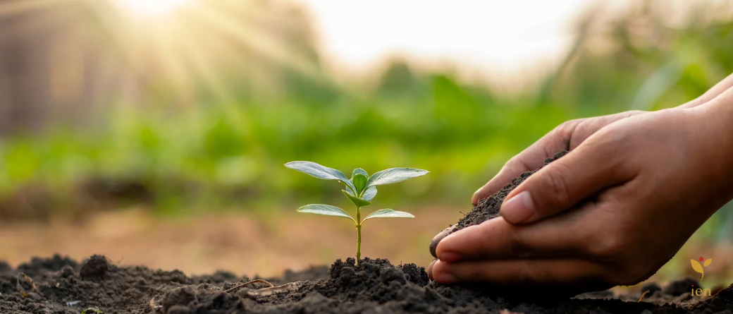 La planta, esa gran desconocida - Instituto de Estudios Naturales